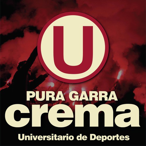 Por Qu Te Quiero Tanto Nunca Te Dejaremos No Importa En Que
