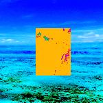 ¡Overboard! - Song Download from ¡Overboard! @ JioSaavn